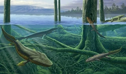 Devónico | Prehistoria Fandom | Fandom