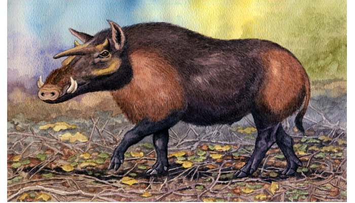 Kubanochoerus | Prehistoria Fandom | Fandom