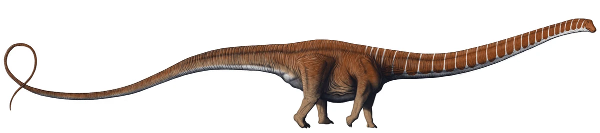 Barosaurus | Prehistoria Fandom | Fandom