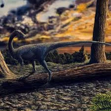 Huinculsaurus | Prehistoria Fandom | Fandom
