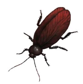 Protophasma | Prehistoria Fandom | Fandom