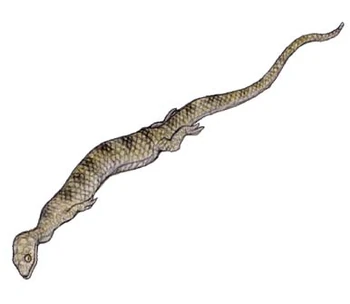 Adriosaurus | Prehistoria Fandom | Fandom