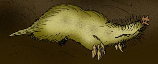 Necrolestes | Prehistoria Fandom | Fandom