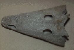 Triásico | Prehistoria Fandom | Fandom