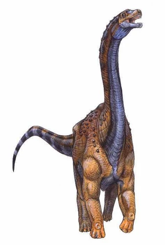 Muyelensaurus | Prehistoria Fandom | Fandom