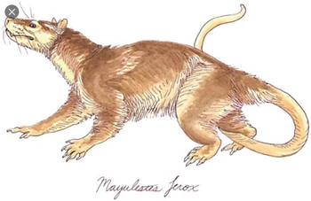 Mayulestes | Prehistoria Fandom | Fandom