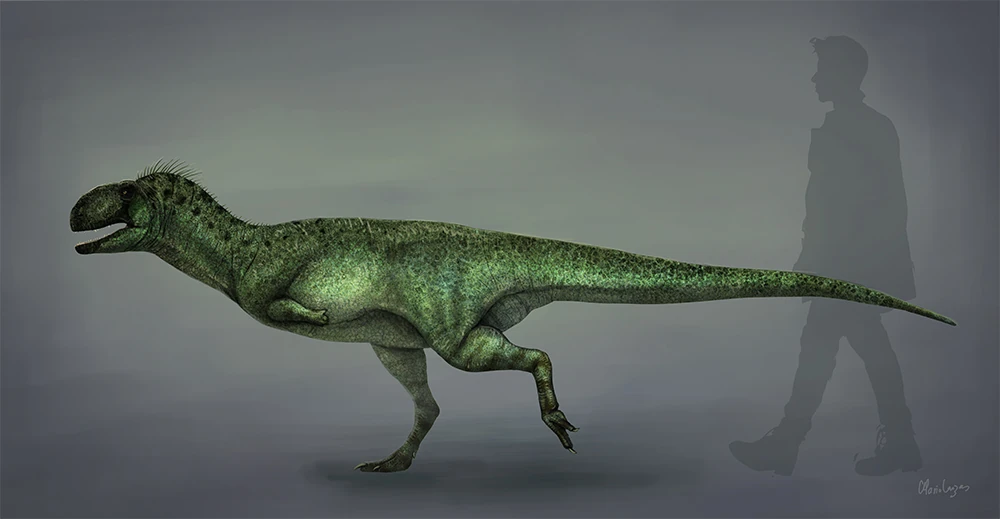 Tarascosaurus | Prehistoria Fandom | Fandom