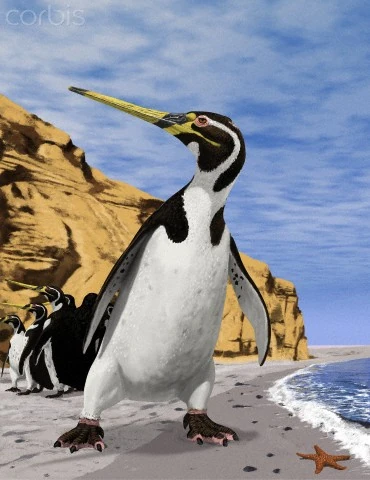 Icadyptes | Prehistoria Fandom | Fandom