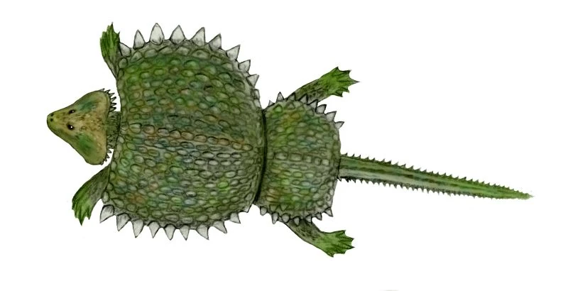 Cyamodus | Prehistoria Fandom | Fandom