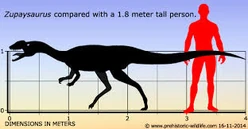 Zupaysaurus | Prehistoria Fandom | Fandom