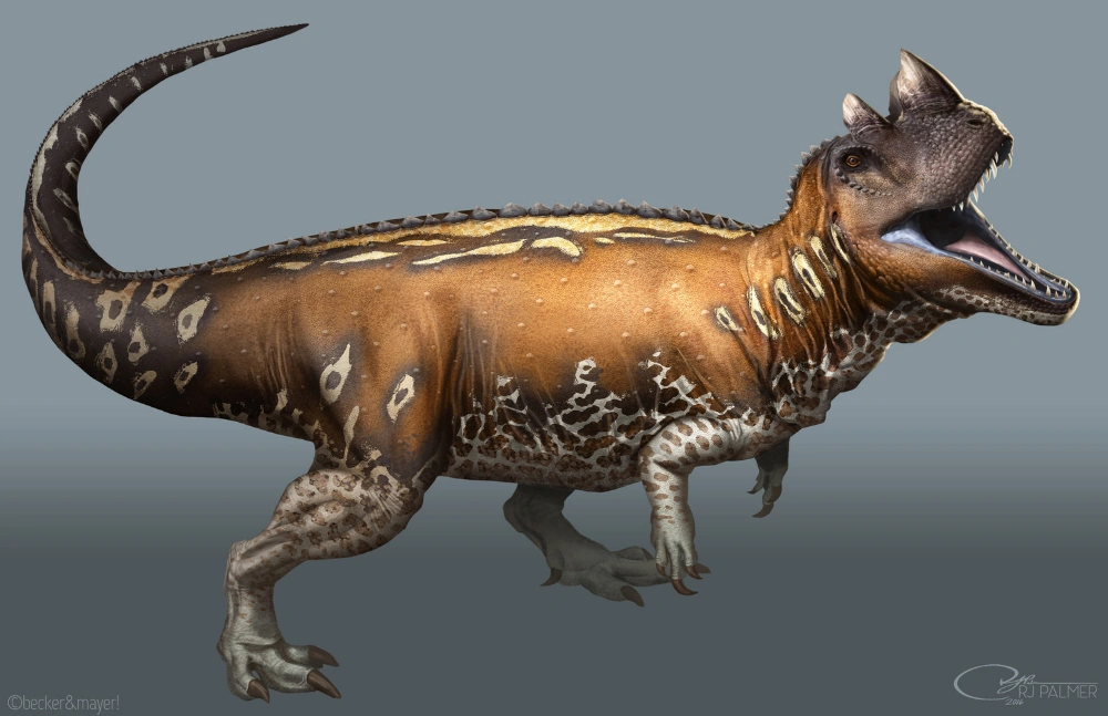 Ceratosaurus | Prehistoria Fandom | Fandom