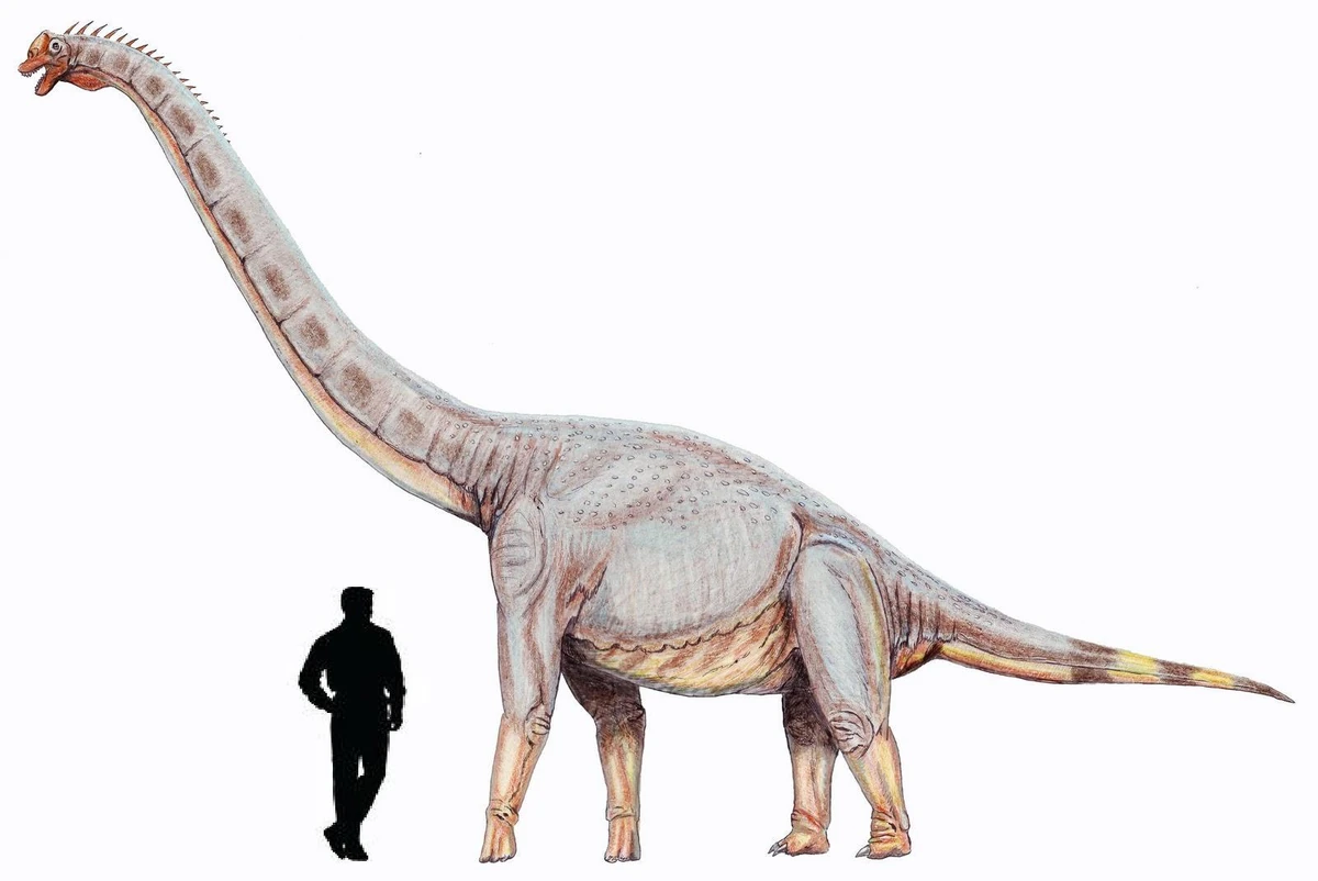 Sonorasaurus | Prehistoria Fandom | Fandom