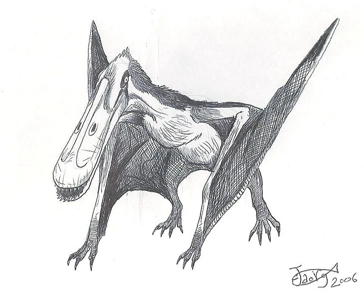 Istiodactylus | Prehistoria Fandom | Fandom