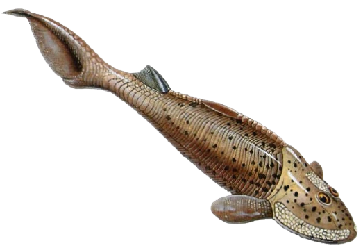 Cephalaspis | Prehistoria Fandom | Fandom