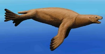 Allodesmus | Prehistoria Fandom | Fandom