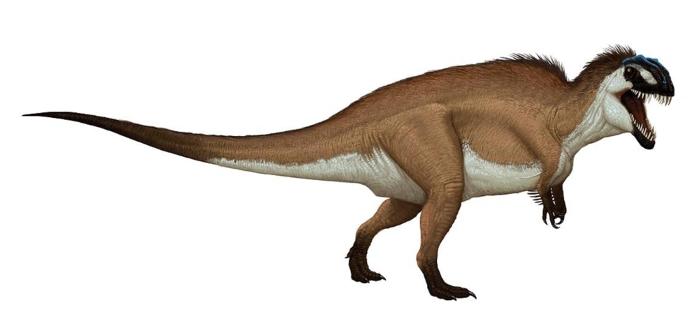 Acrocanthosaurus | Prehistoria Fandom | Fandom