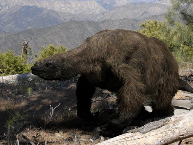 Paramylodon | Prehistoria Fandom | Fandom