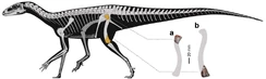 Amanasaurus | Prehistoria Fandom | Fandom
