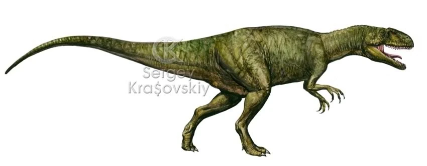 Neovenatoridae | Prehistoria Fandom | Fandom