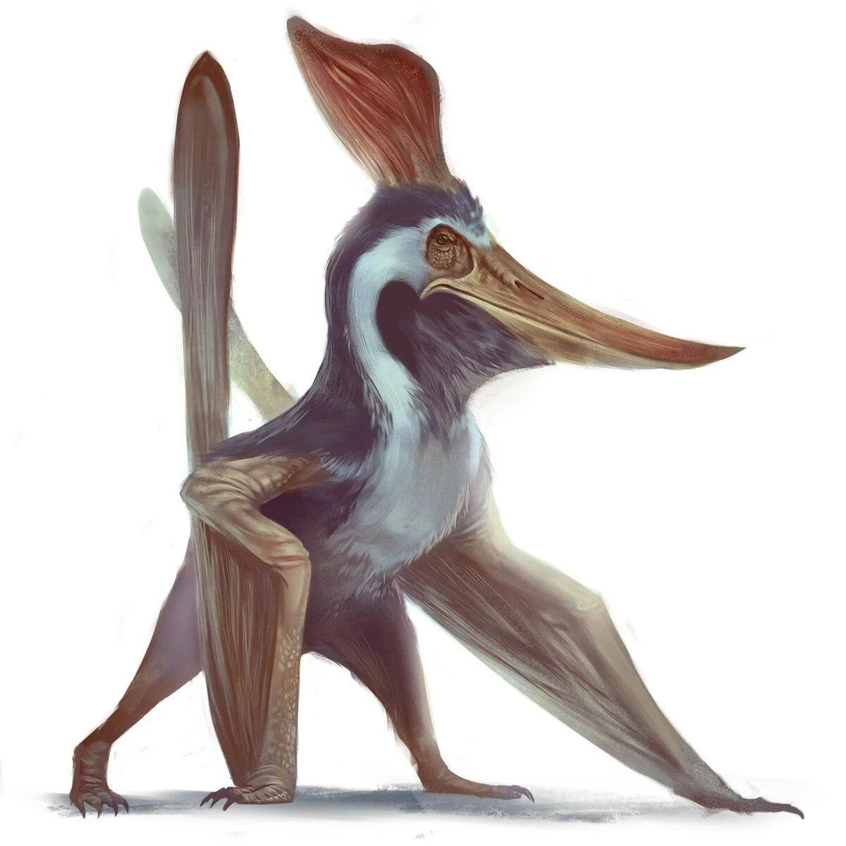 Geosternbergia | Prehistoria Fandom | Fandom