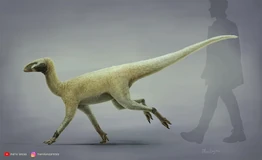 Silesaurus | Prehistoria Fandom | Fandom