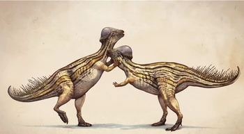 Sphaerotholus | Prehistoria Fandom | Fandom