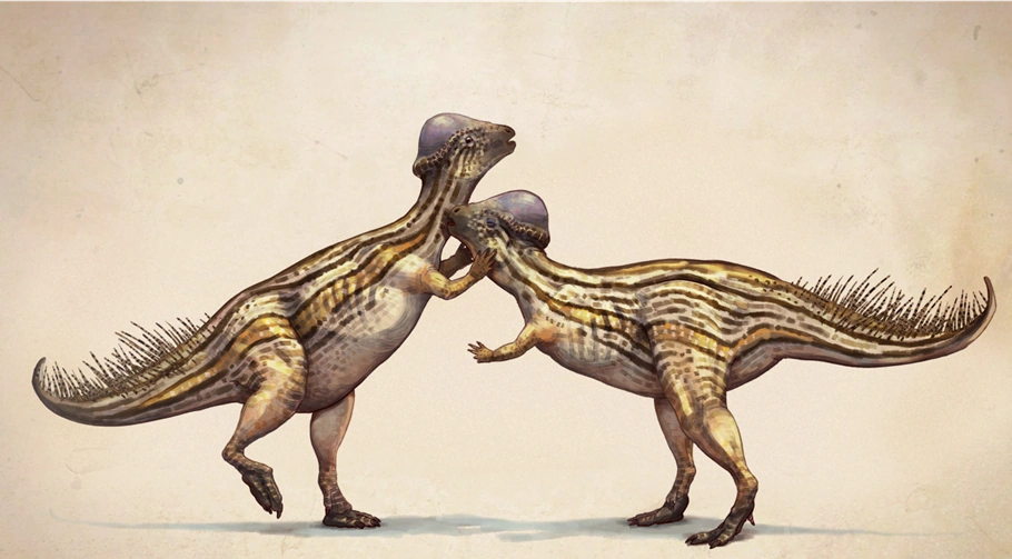 Sphaerotholus | Prehistoria Fandom | Fandom