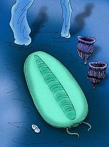 Tegopelte | Prehistoria Fandom | Fandom