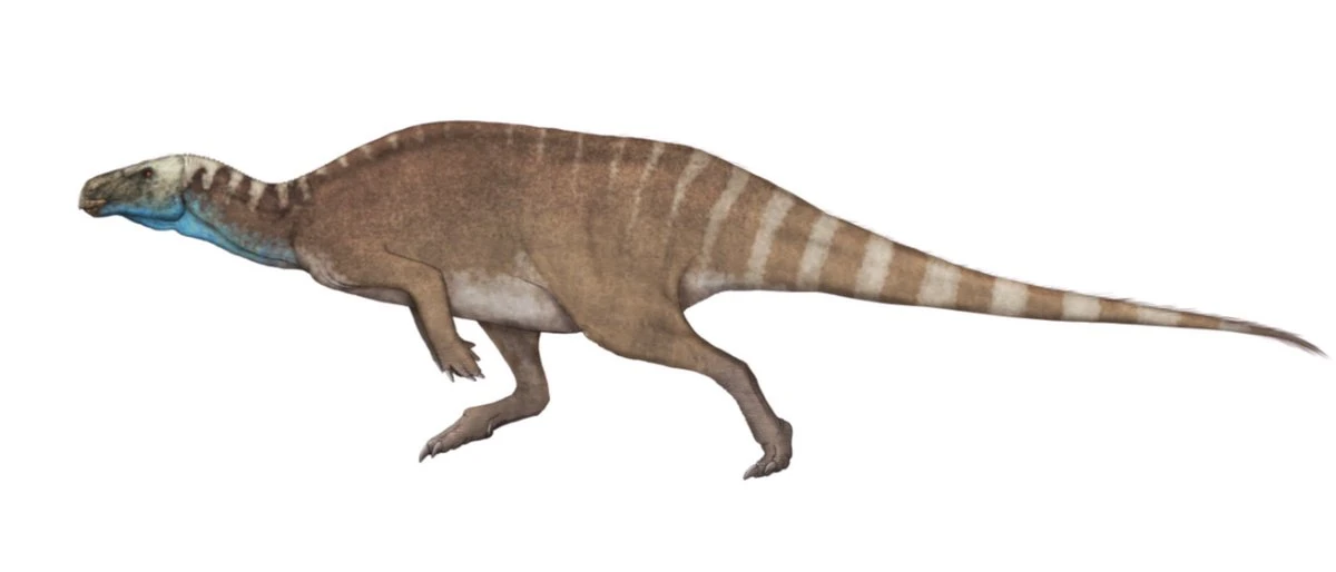 Hippodraco | Prehistoria Fandom | Fandom