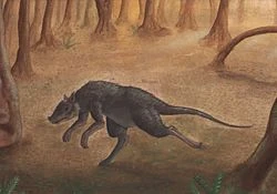 Leptictis | Prehistoria Fandom | Fandom