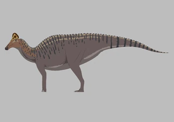 Amurosaurus | Prehistoria Fandom | Fandom