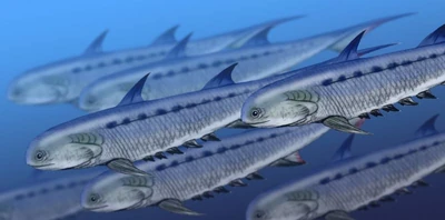 Lochkoviano | Prehistoria Fandom | Fandom