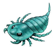 Brachyopterus | Prehistoria Fandom | Fandom