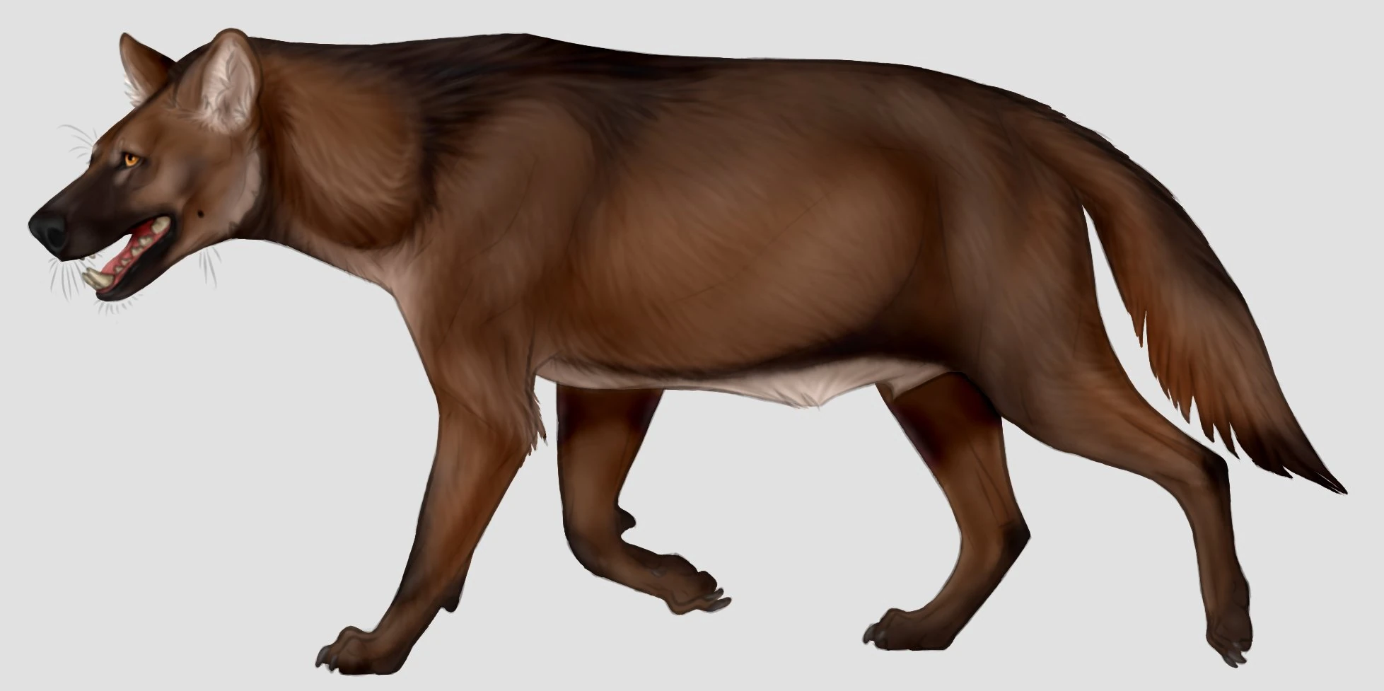 Aenocyon dirus | Prehistoria Fandom | Fandom