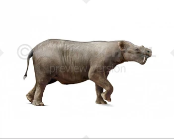 Bathyopsis | Prehistoria Fandom | Fandom