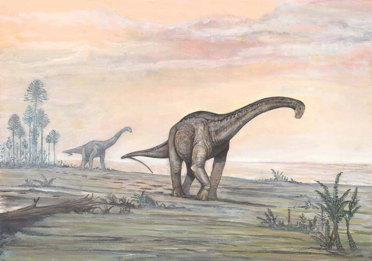 Usuario Blog:Blog de Jason/Pellegrinisaurus | Prehistoria Fandom | Fandom
