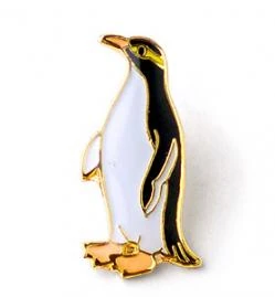 Megadyptes waitaha | Prehistoria Fandom | Fandom