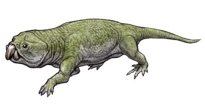 Rhynchosaurus | Prehistoria Fandom | Fandom