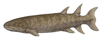 Hyneria | Prehistoria Fandom | Fandom