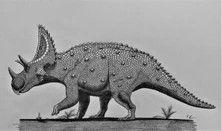Ceratops | Prehistoria Fandom | Fandom