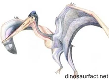 Feilongus | Prehistoria Fandom | Fandom