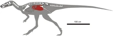 Isaberrysaura | Prehistoria Fandom | Fandom