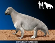 Moschops | Prehistoria Fandom | Fandom