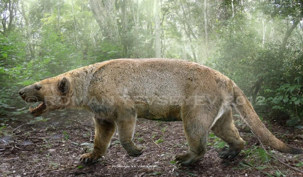 Proborhyaena | Prehistoria Fandom | Fandom