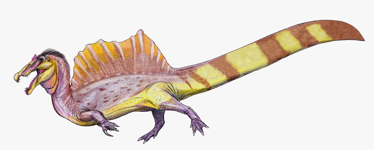 Sigilmassasaurus | Prehistoria Fandom | Fandom