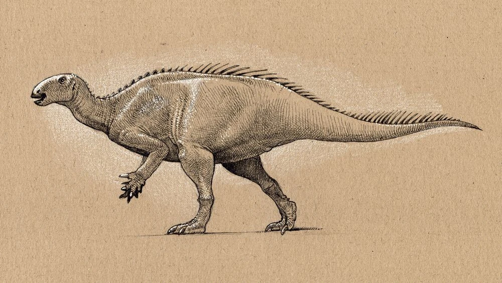 Uteodon | Prehistoria Fandom | Fandom