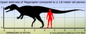 Megaraptor | Prehistoria Fandom | Fandom