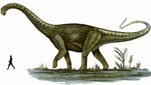 Notocolossus | Prehistoria Fandom | Fandom