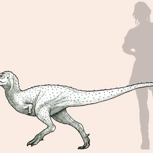 Discuss Everything About Prehistoria Fandom | Fandom