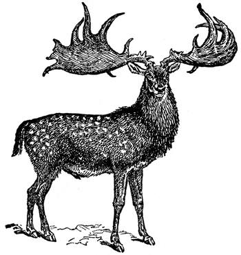 Cervocerus | Prehistoria Fandom | Fandom